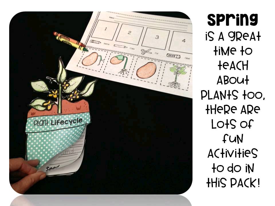 Insects, Plants and more Spring Fun for kids - Teaching & Much Moore